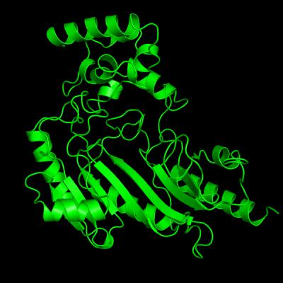 Open Protein [IMAGE] | EurekAlert! Science News Releases