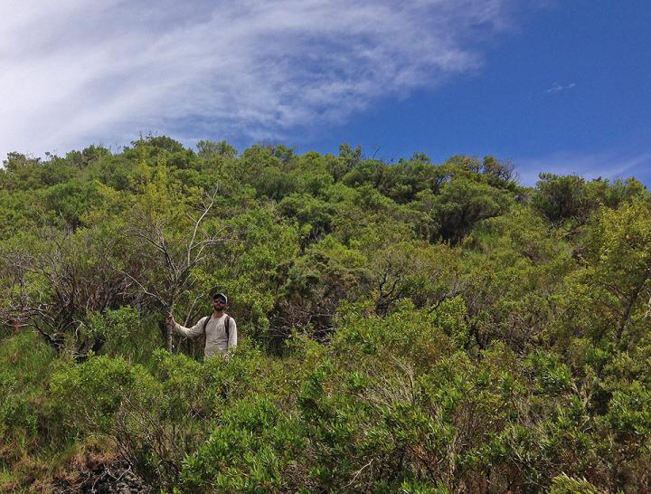 Kanaio NAR on Maui [IMAGE] | EurekAlert! Science News Releases