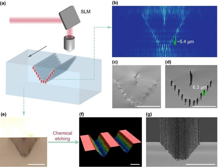 fig 1 [IMAGE] | EurekAlert! Science News Releases