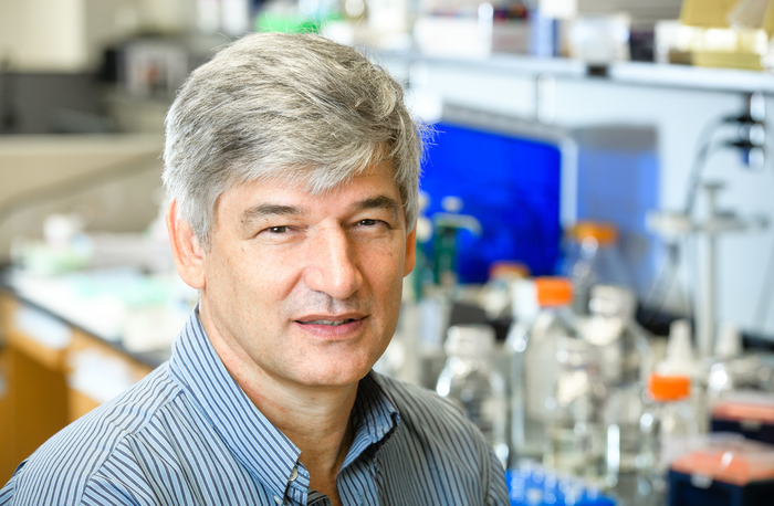 Adrie Steyn [IMAGE] | EurekAlert! Science News Releases