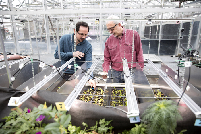 Marc Van Iersel 2 [IMAGE] | EurekAlert! Science News Releases