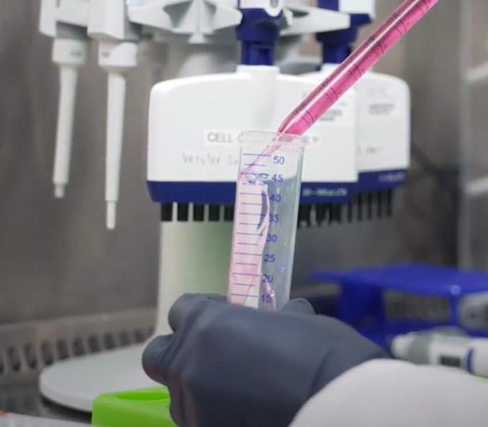 Lab bench research in Veesler [IMAGE] | EurekAlert! Science News Releases