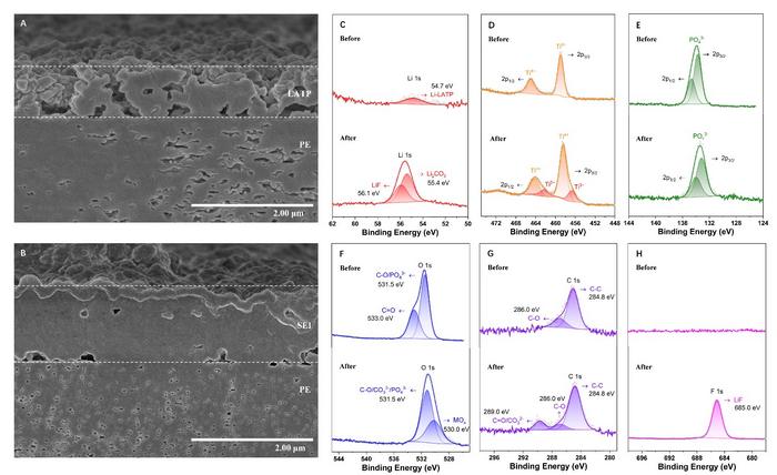 CP-SEM images and XPS patterns [IMAGE] | EurekAlert! Science News Releases