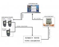 Controlling Diabetes: Meet Your Artificial Pa | EurekAlert!