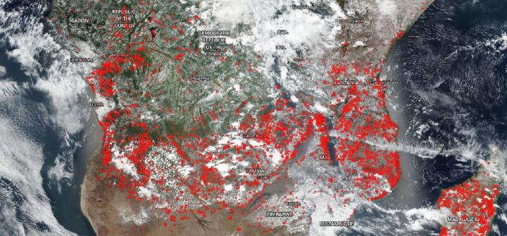 Hundreds of Suspected Agricult [IMAGE] | EurekAlert! Science News Releases