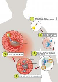 GSK announces launch of largest ever Phase II | EurekAlert!