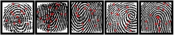 Fingerprint Hack [IMAGE] | EurekAlert! Science News Releases