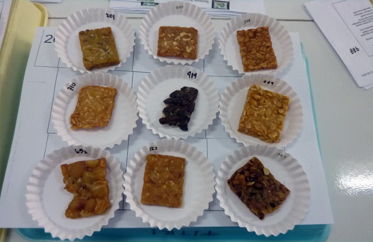 9 Different Types of Tempe [IMAGE] | EurekAlert! Science News Releases