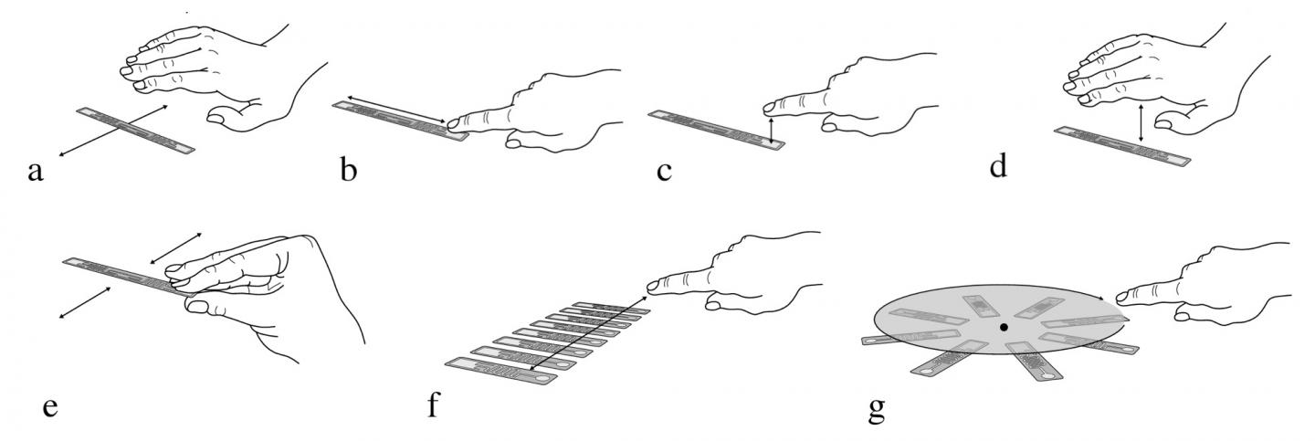 Interaction Methods [IMAGE] | EurekAlert! Science News Releases