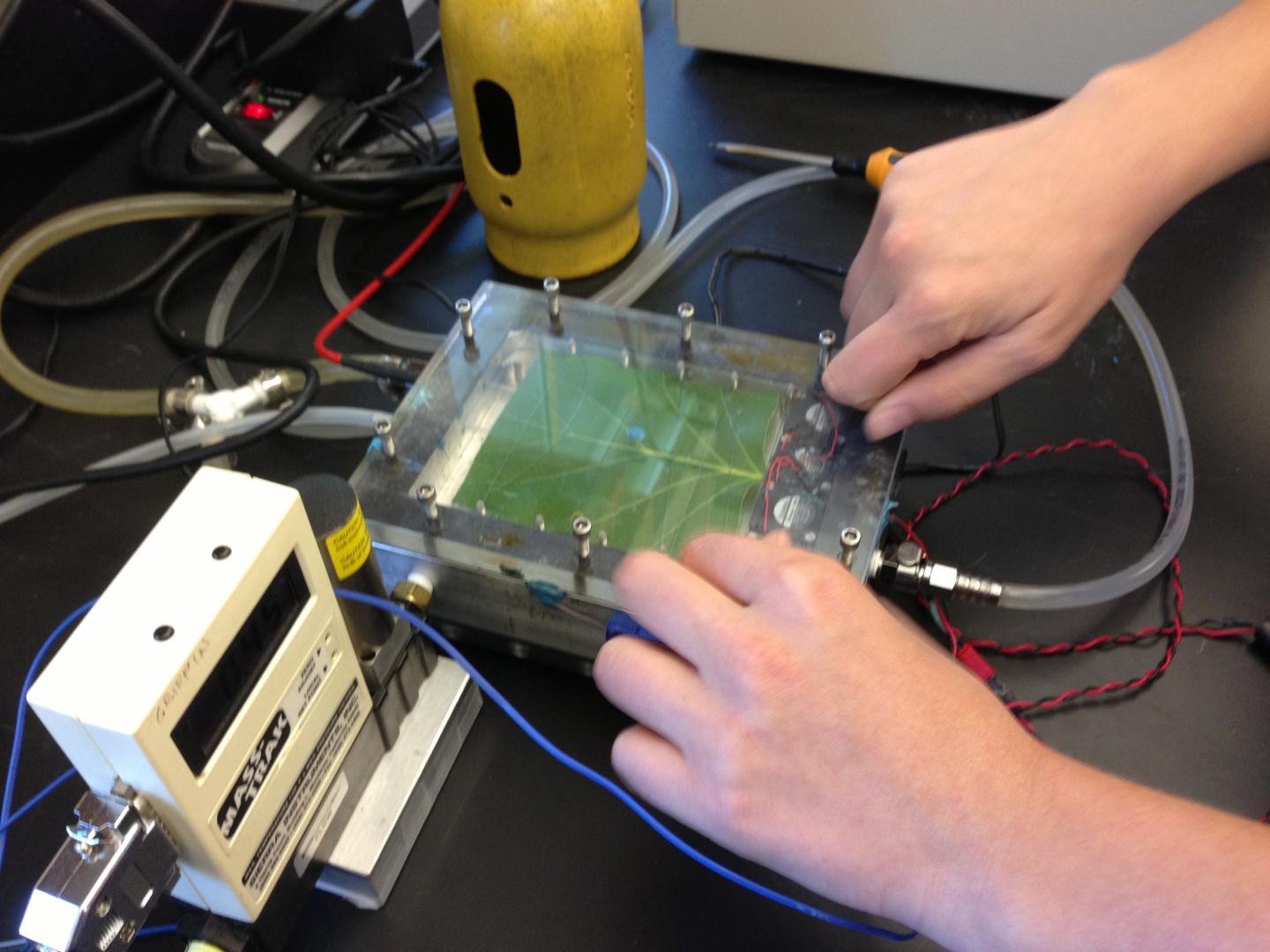 Closed System [IMAGE] | EurekAlert! Science News Releases