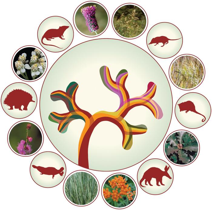 EvoHeritage [IMAGE] | EurekAlert! Science News Releases