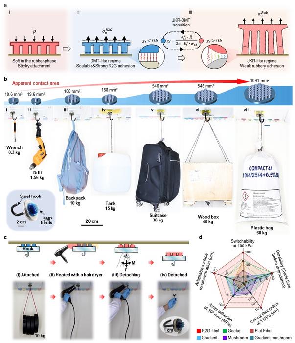 Working principle and demonstr [IMAGE] | EurekAlert! Science News Releases