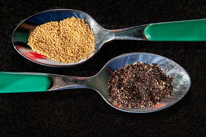 Separating Seeds [IMAGE] | EurekAlert! Science News Releases