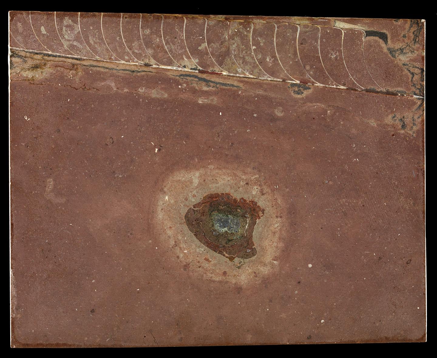 Fossil Meteorite [IMAGE] | EurekAlert! Science News Releases