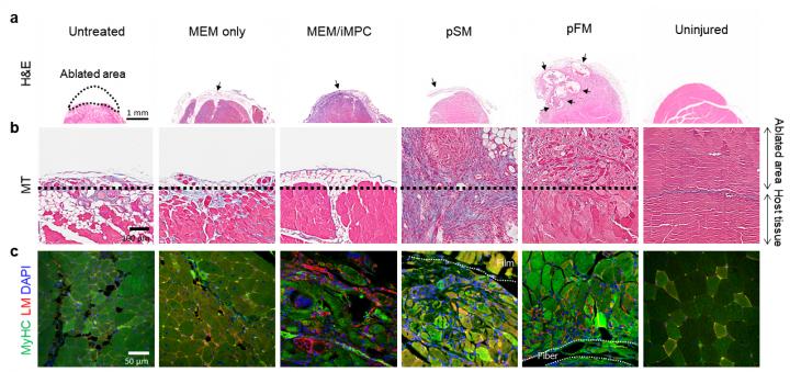 Figure 3 [IMAGE] | EurekAlert! Science News Releases