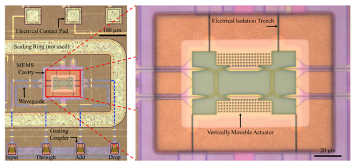 Optical microscope image of th [IMAGE] | EurekAlert! Science News Releases