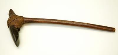 Long-Distance Travel in Early Polynesia (1 of | EurekAlert!