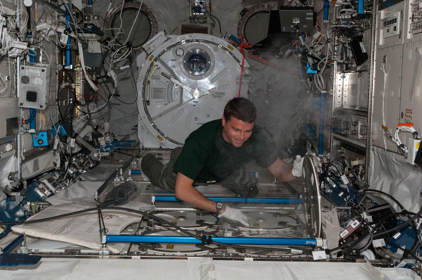 NASA astronaut Reid Wiseman [IMAGE] | EurekAlert! Science News Releases