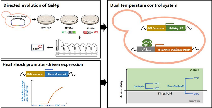 Dual temperature control syste [IMAGE] | EurekAlert! Science News Releases