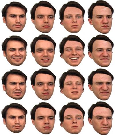 Experimental Face Stimuli -- 4 [IMAGE] | EurekAlert! Science News Releases