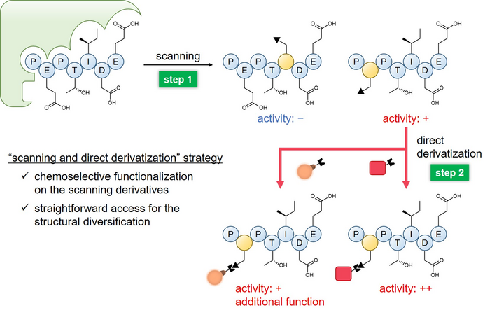 The "scanning and direct deriv [IMAGE] | EurekAlert! Science News Releases