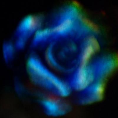 Color Holograms Appear Under White Light (12 | EurekAlert!
