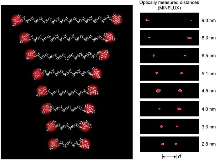 'Nanometer rulers' [IMAGE] | EurekAlert! Science News Releases