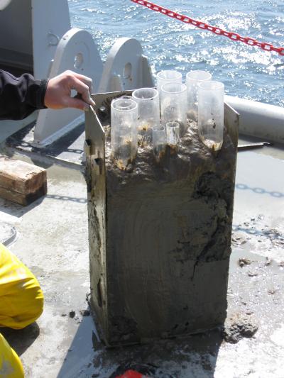 Seafloor Sample [IMAGE] | EurekAlert! Science News Releases