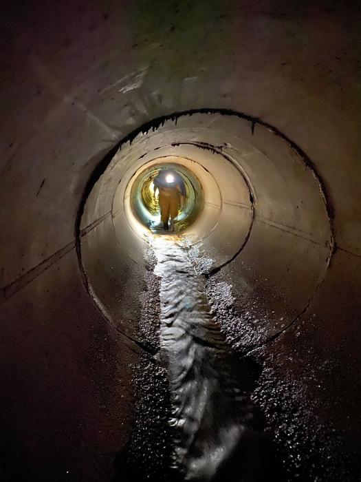 Researchers Seen Through Culve [IMAGE] | EurekAlert! Science News Releases