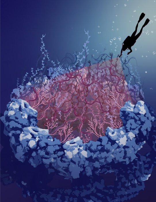 Illustration nuclear pore comp [IMAGE] | EurekAlert! Science News Releases