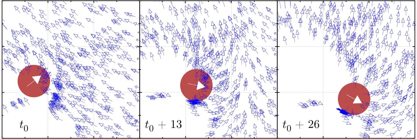 Evasive Horizontal Image [IMAGE] | EurekAlert! Science News Releases