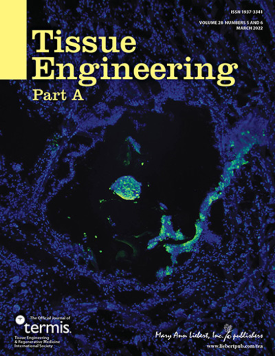 Regenerative potential of solid bone marrow a | EurekAlert!