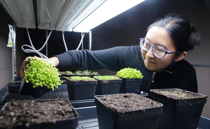 Botany and plant pathology res [IMAGE] | EurekAlert! Science News Releases