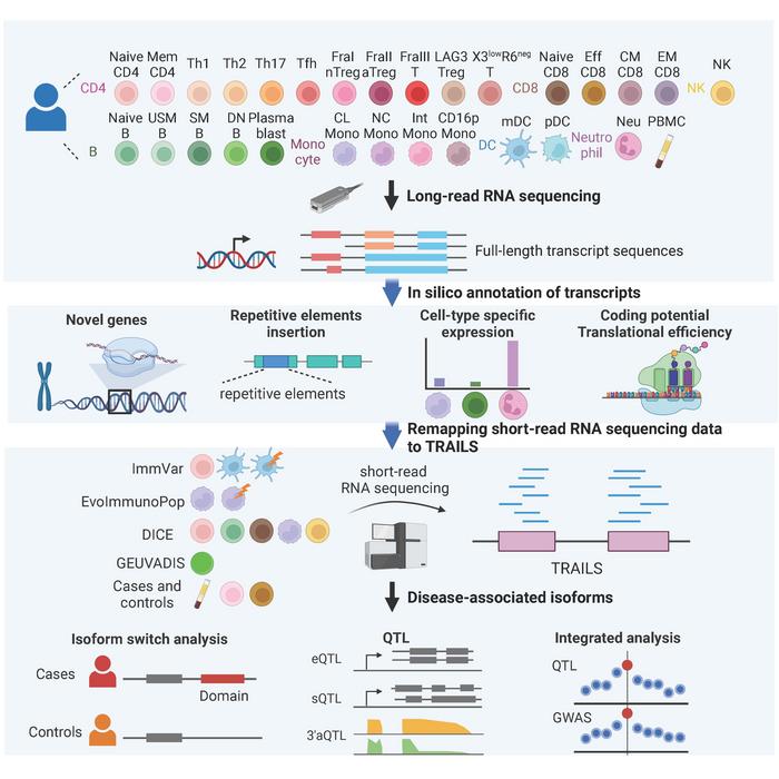 Figure1 [IMAGE] | EurekAlert! Science News Releases