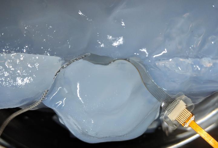 Soft Implants for Deafness Better Interface w | EurekAlert!