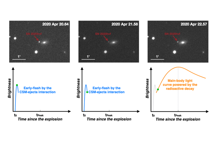 Figure 1 [IMAGE] | EurekAlert! Science News Releases