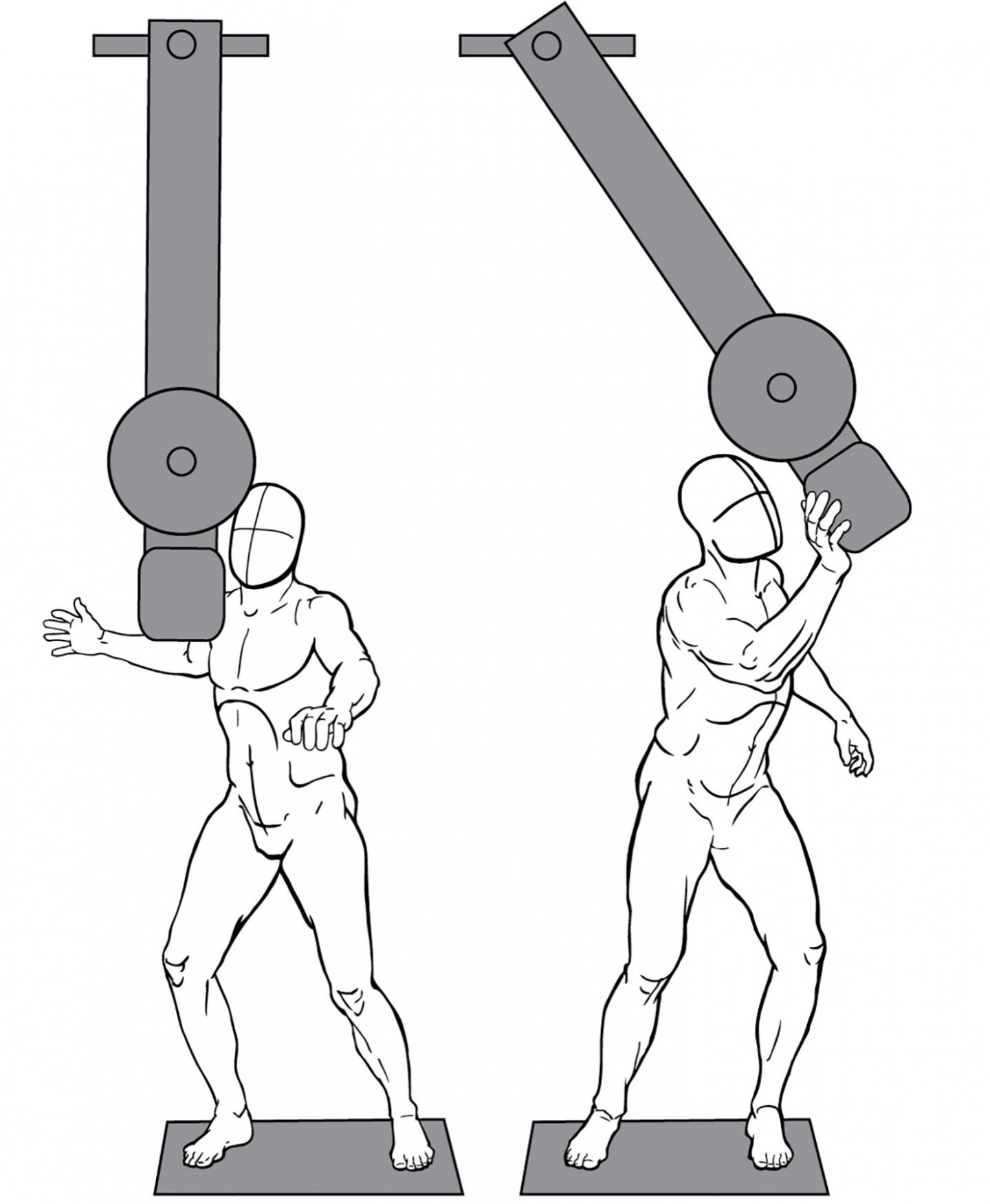 Plantigrade Pendulum Diagram [IMAGE] | EurekAlert! Science News Releases