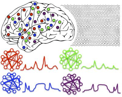 Rhythmic Brain Figure [IMAGE] | EurekAlert! Science News Releases