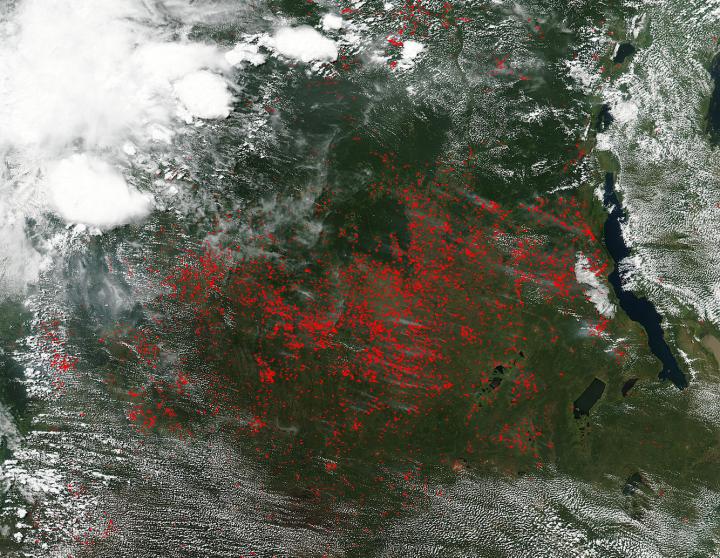 Fires Take Over Most of Central Africa in Sat | EurekAlert!