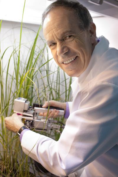 Stephen P. Long, University of [IMAGE] | EurekAlert! Science News Releases