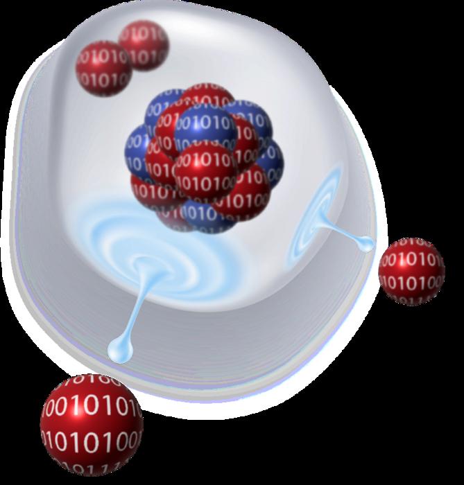 Schematic representation of th [IMAGE] | EurekAlert! Science News Releases