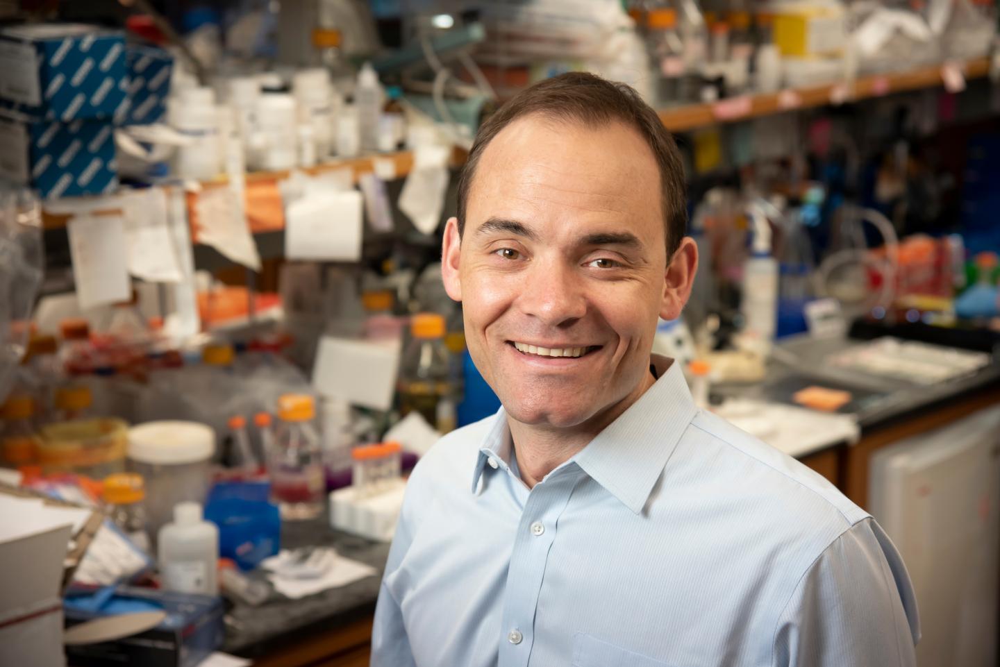 Engineering 'hairpins' increases CRISPR accur | EurekAlert!