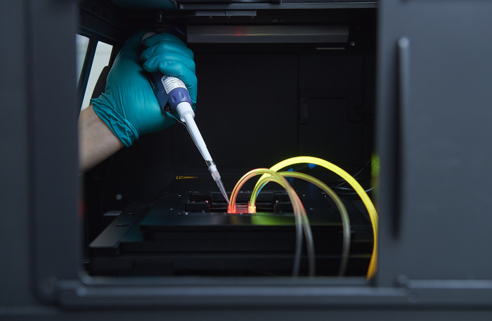 Nano containers [IMAGE] | EurekAlert! Science News Releases