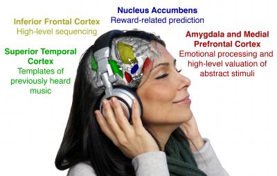 Listening to New Music Rewards the Brain (10 | EurekAlert!