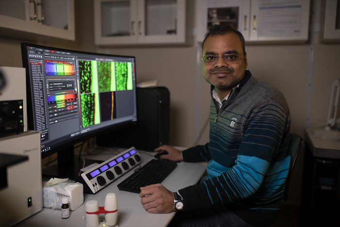 New cellular component with importance for th | EurekAlert!