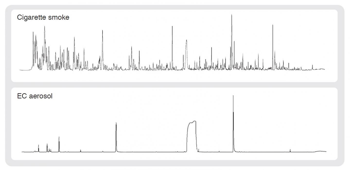 Fig 2 Chromatographic Analysis [IMAGE] | EurekAlert! Science News Releases