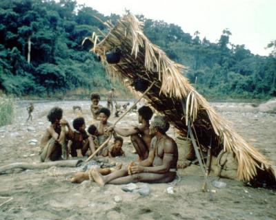 Distant Relations Underpin Hunter-Gatherer So | EurekAlert!