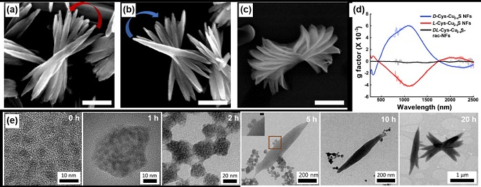 new chiral nanostructures to extend the mater | EurekAlert!