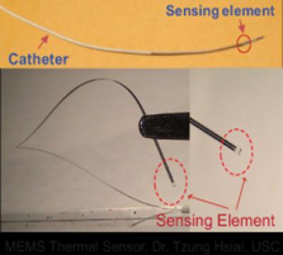 MEMS Thermal Sensor [IMAGE] | EurekAlert! Science News Releases
