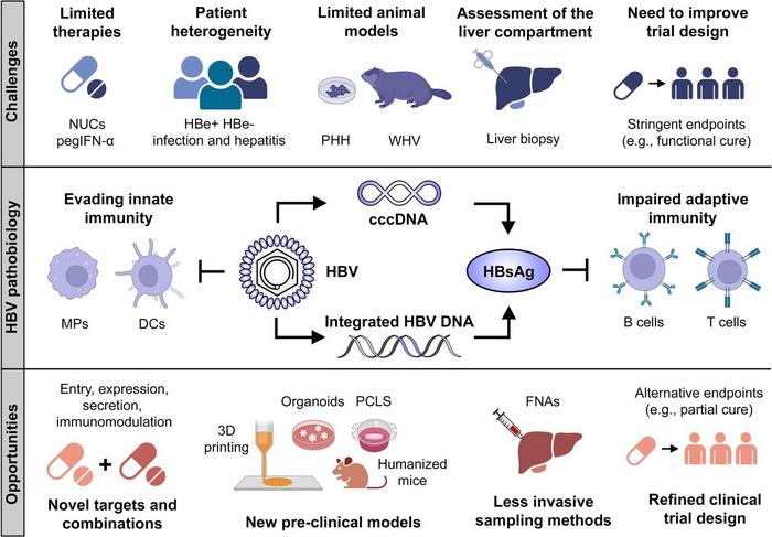 Opportunities and challenges f [IMAGE] | EurekAlert! Science News Releases